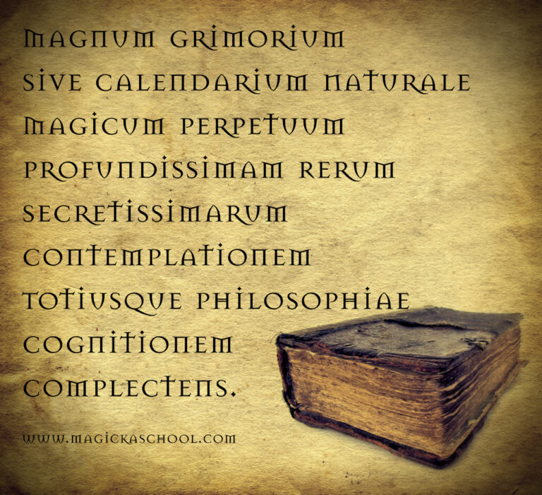 Magicka School | Magical Training You Can Trust